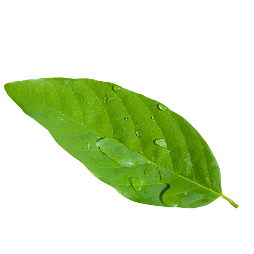 Wirtschaftlichkeitsanalyse - WE Co2neutral